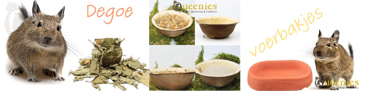 Voerbakjes voor gerbils en hamsters of andere Knaagdieren en Konijnen