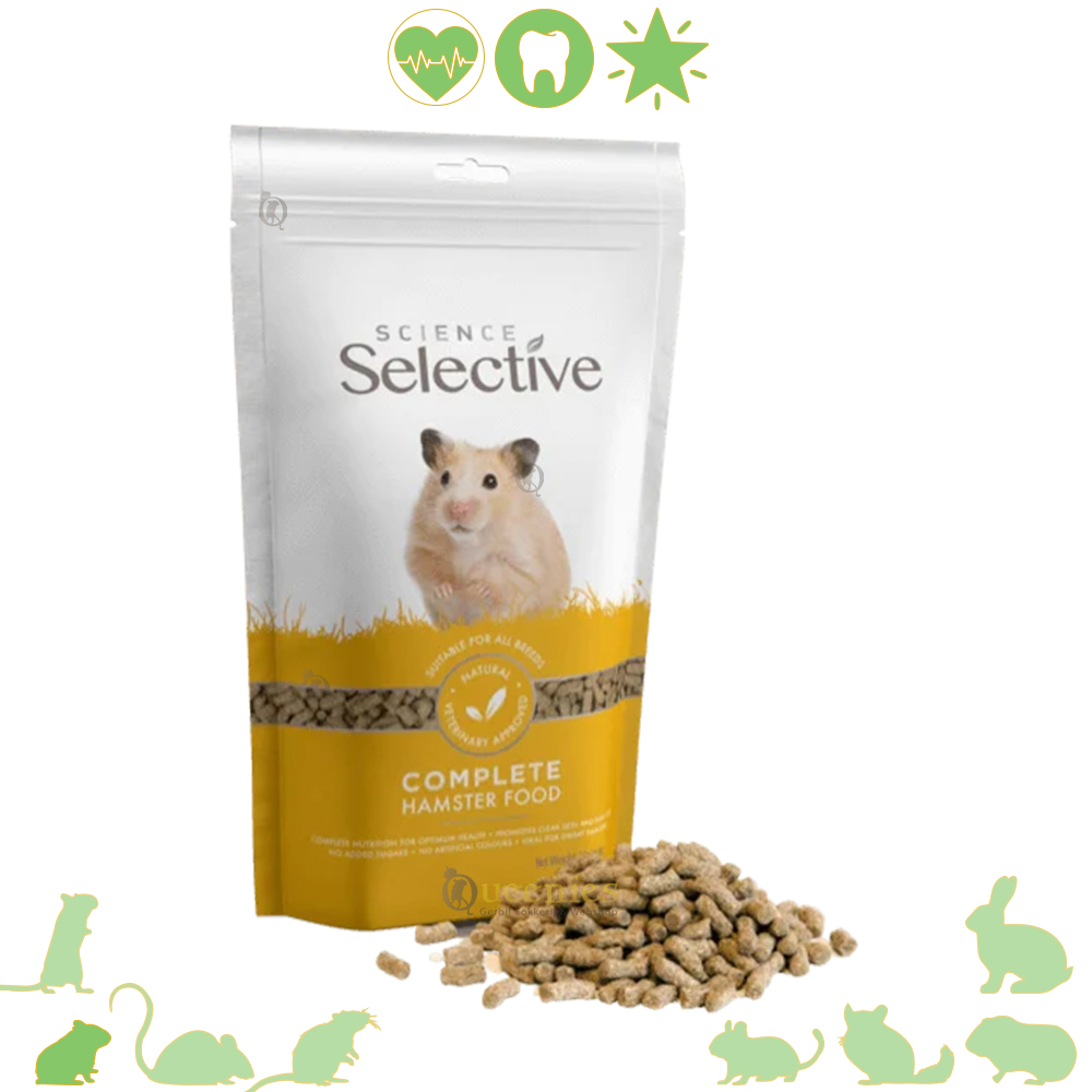 Voer voor Hamsters | Kies Gezonde en Complete Hamstervoeding