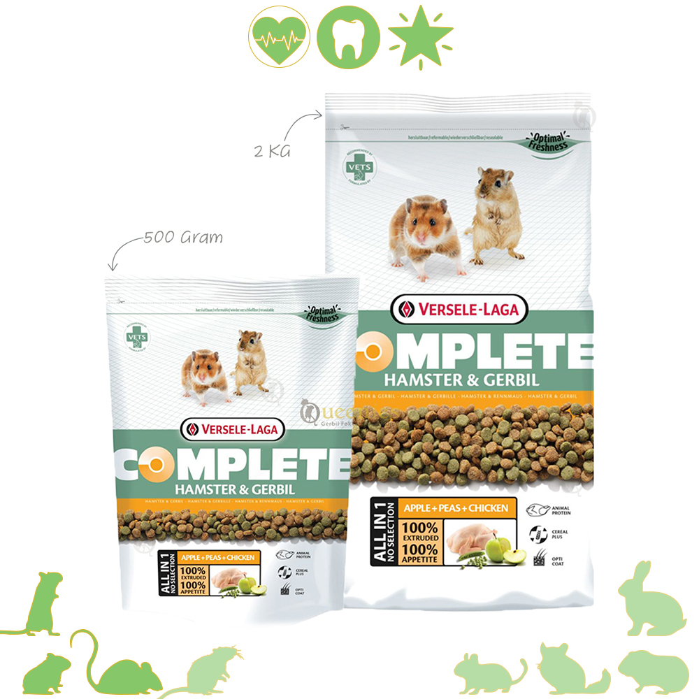 Voer voor Hamsters | Kies Gezonde en Complete Hamstervoeding