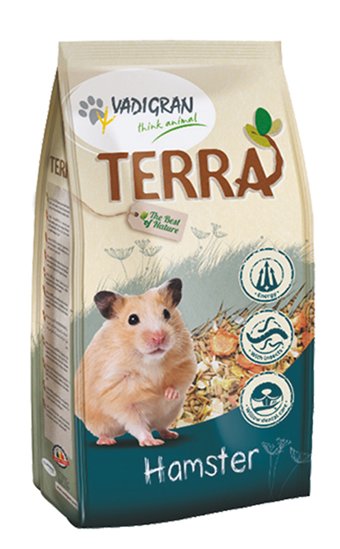 Hamstervoer nodig? De beste hamstervoeding koopt u hier