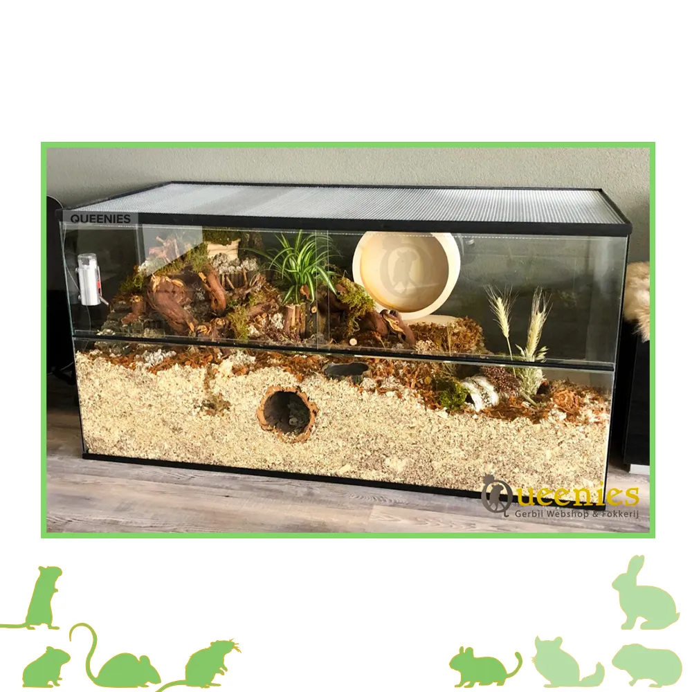 Grote Goudhamster kooien van glas - Knaagdier Terrarium zonder plateau