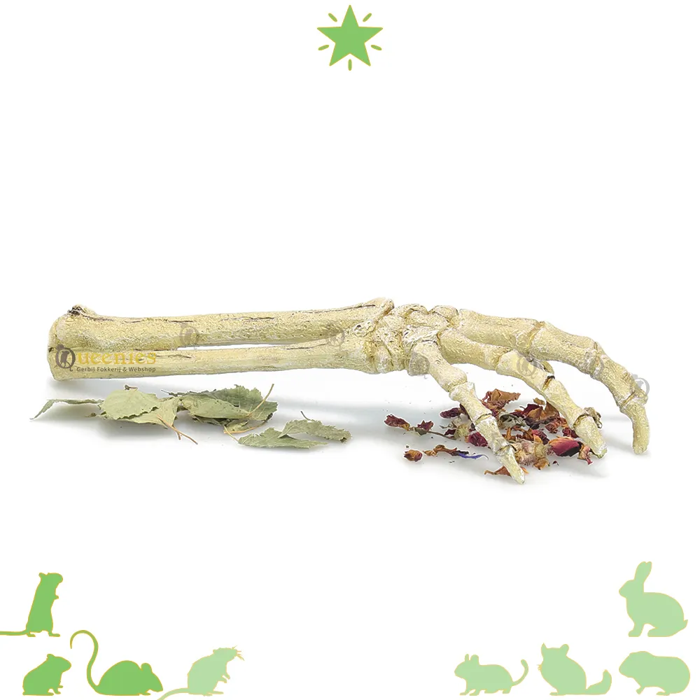 Duivelshoorns Hand Skelet Human Hand Skeleton Hi Res Stock Photography