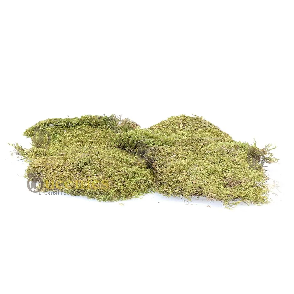 Gedroogd Mos 1 KG Perfect voor een natuurlijke leefomgeving