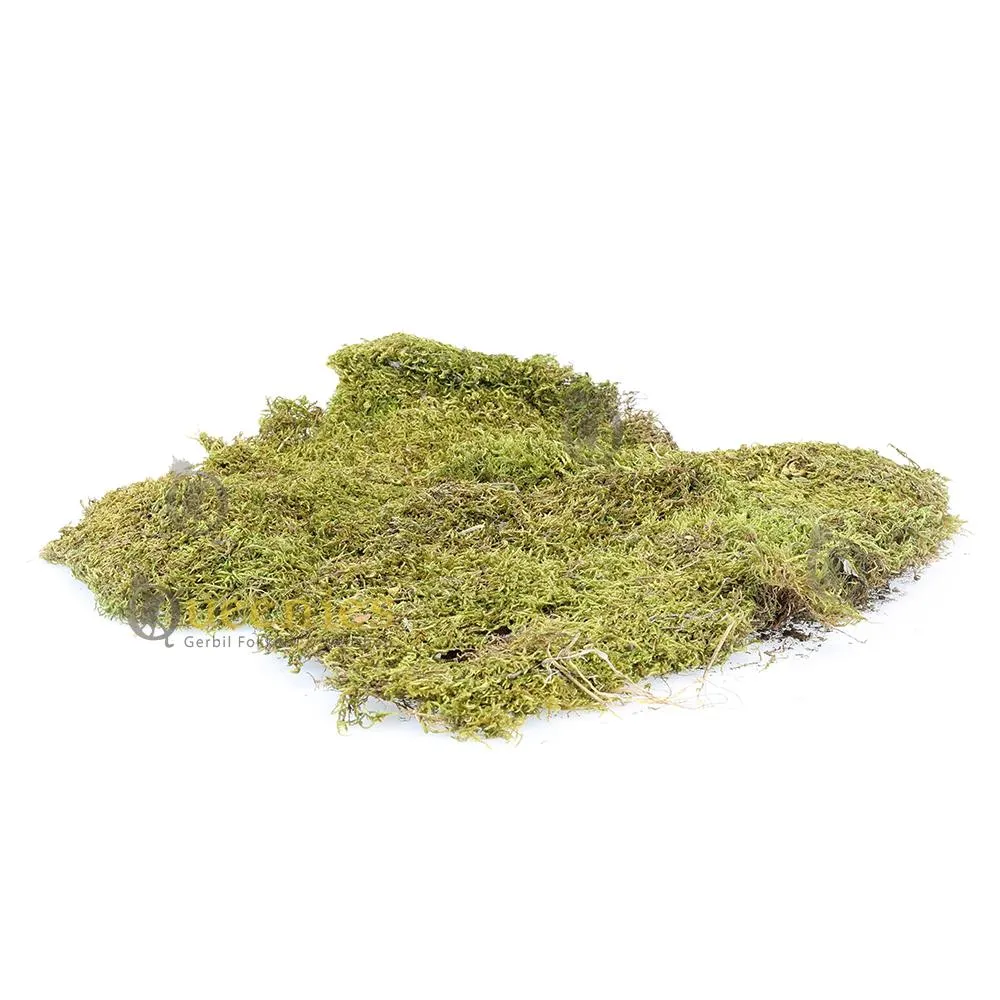 Gedroogd Mos 1 KG Perfect voor een natuurlijke leefomgeving