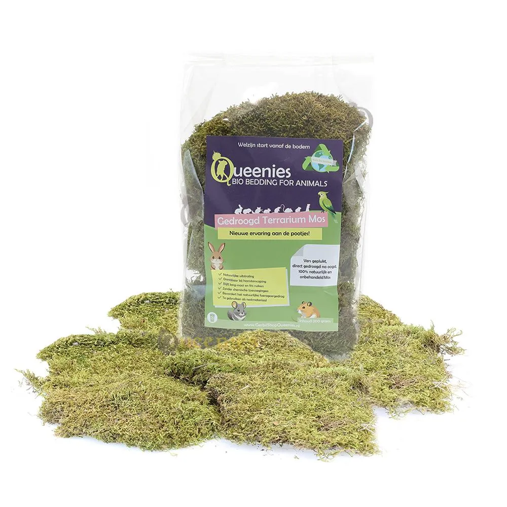 Gedroogd Mos 1 KG Perfect voor een natuurlijke leefomgeving