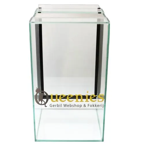 Insecten terrarium voor de kweek van spinnen of wandelende takken